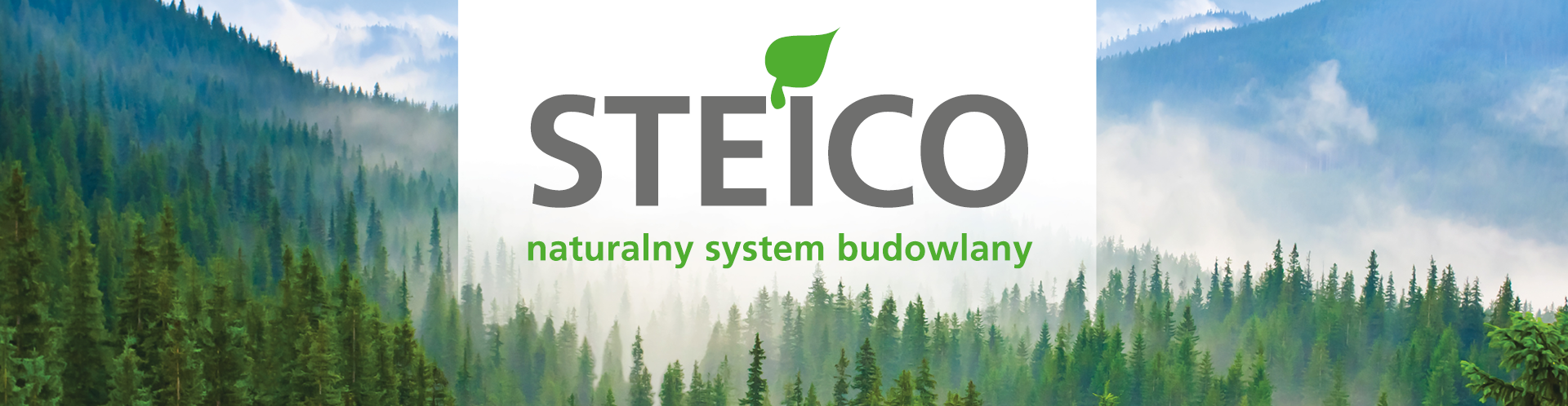 Specjalista/Specjalistka ds. szkoleń i rozwoju pracowników | STEICO ...